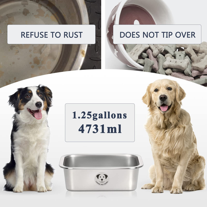 APPENIN WINTER PARK CORP Stainless Steel Dog Bowls For Large Dogs High Capacity Metal Dog Food Bowls Dog Food And Water Bowls For Large X Large And Big Dogs 1.25 Gallons Wayfair
